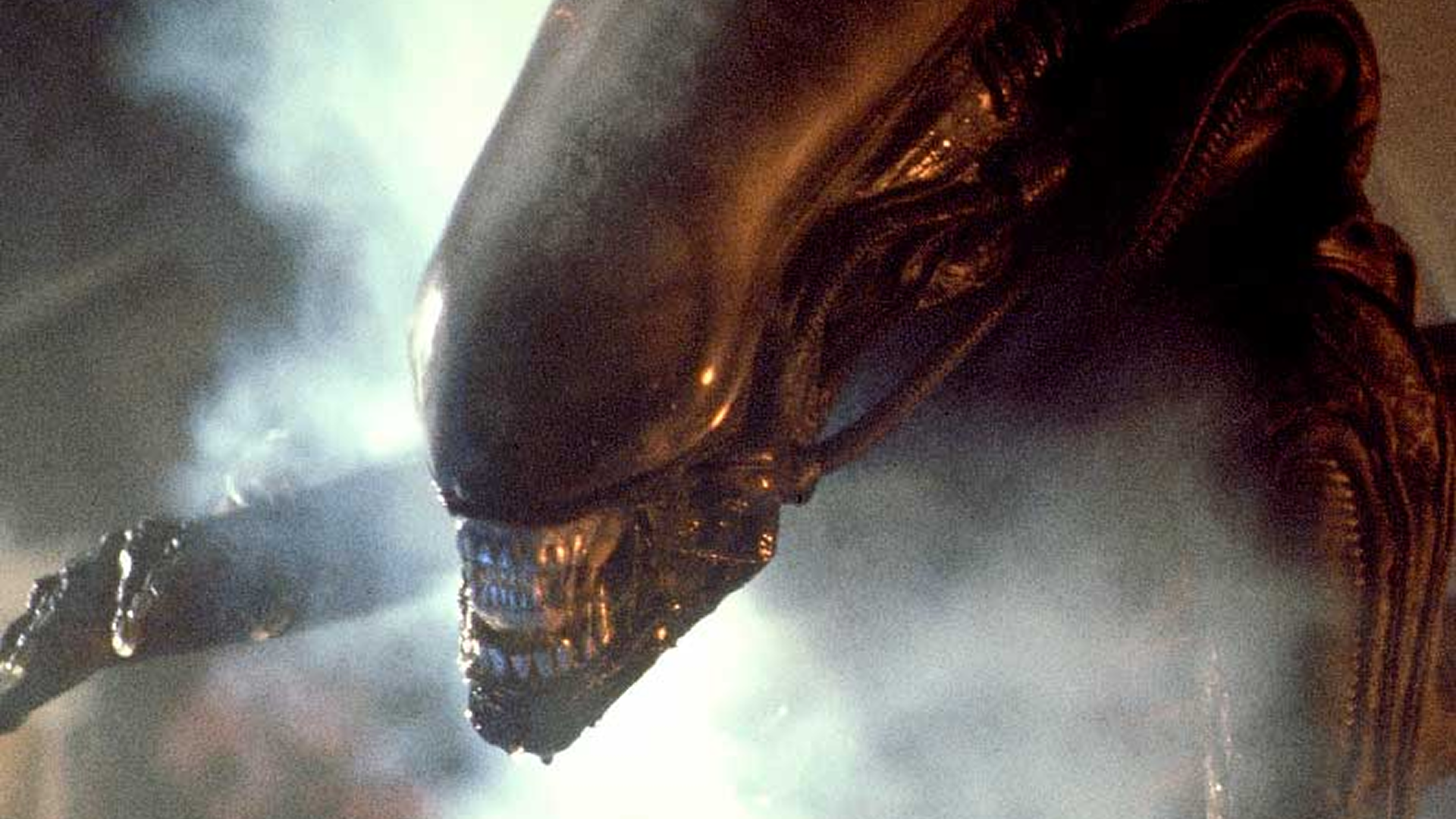 Watch the Alien Franchise in Order on Disney+ and Hulu