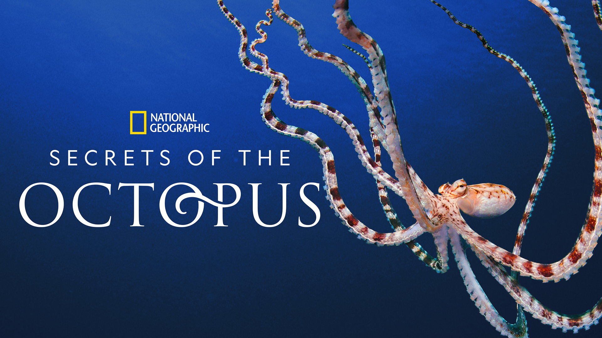 Best National Geographic Nature Documentaries on Disney+ | Explore Disney+